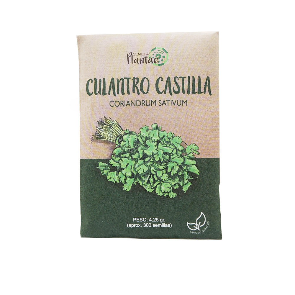 Sobre de Semillas de Culantro Castilla 4.25g – El Mercadito Central